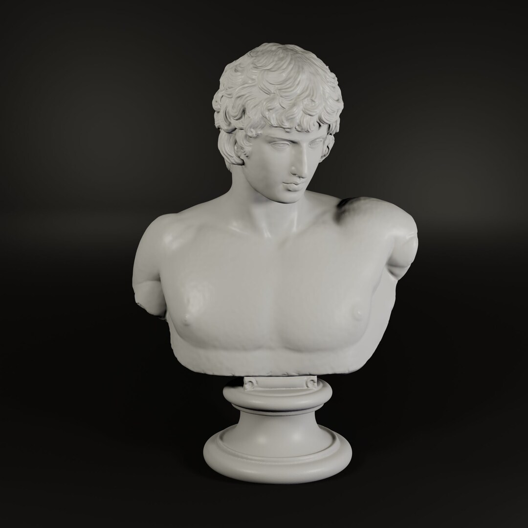 Portrait of Antinous | Many Sizes & Colors | 3D Printed and Hand ...