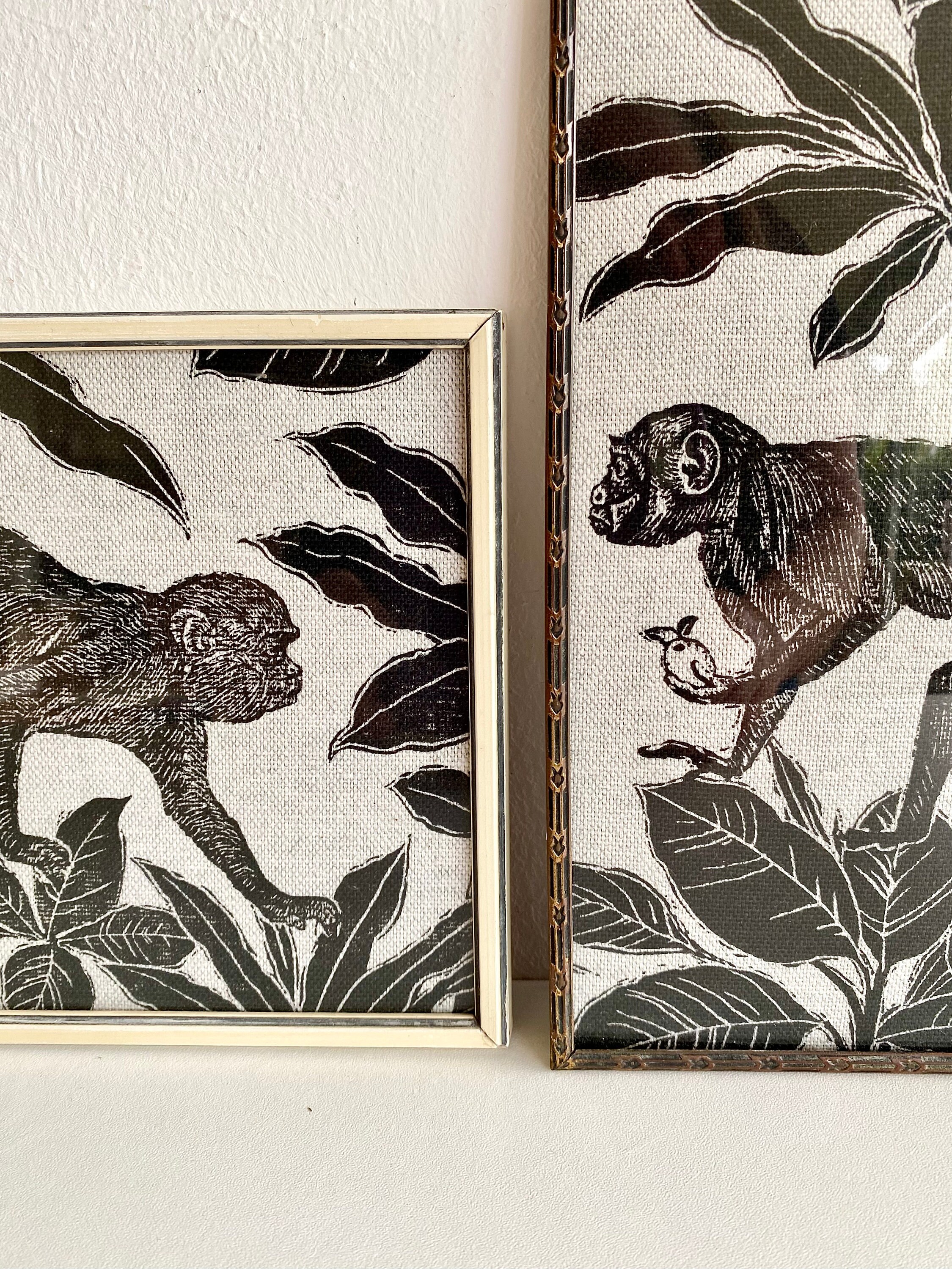Monkeys in the Jungle/ Pictures/ Vintage Photo Frames - Etsy