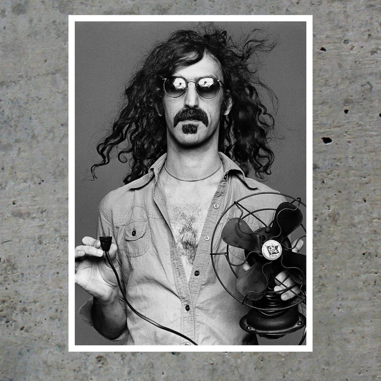 Frank Zappa portrait photo housewarming gift for him/her | Etsy