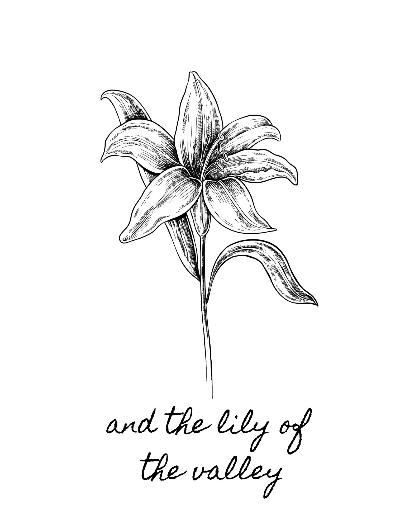 Song of Solomon Digital Wall Art Rose of Sharon Digital Download Lily ...
