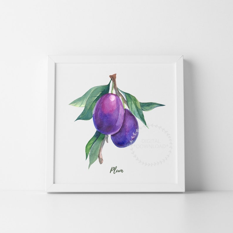 PLUMS FRUIT Wall Art PRINTABLE, Instant Digital Download, Kitchen Decor ...