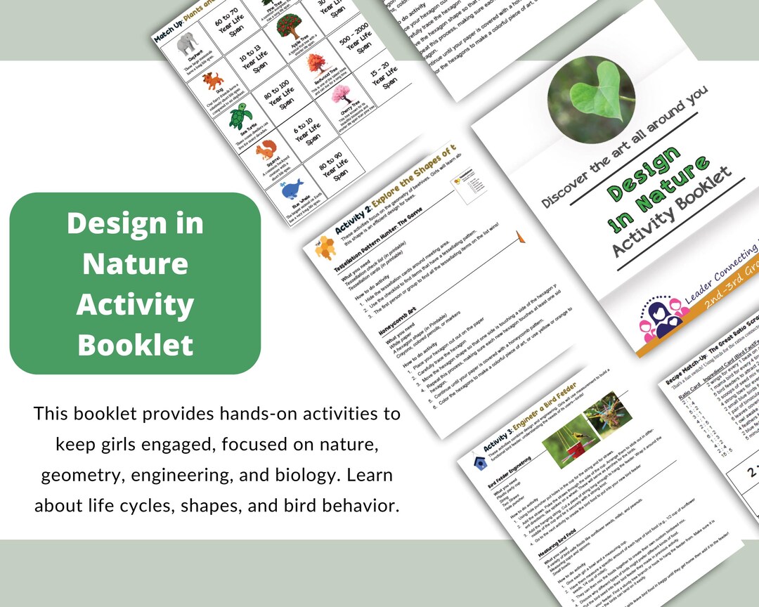 Design in Nature Activity Booklet, 2nd and 3rd Grade, Printable for ...