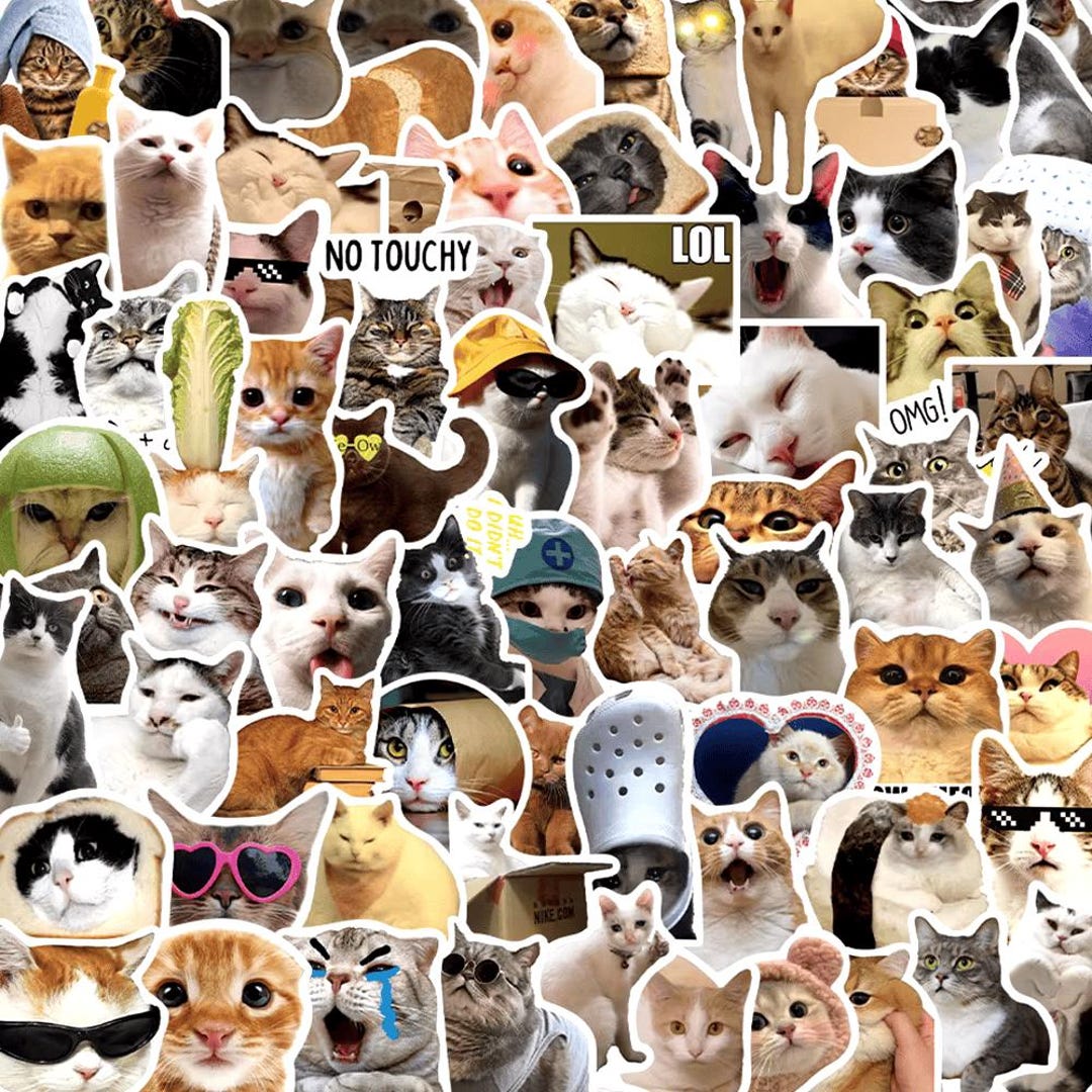 100pcs Funny Cats Sticker Pack, Sticker Bundle Meme Laptop Water Bottle ...