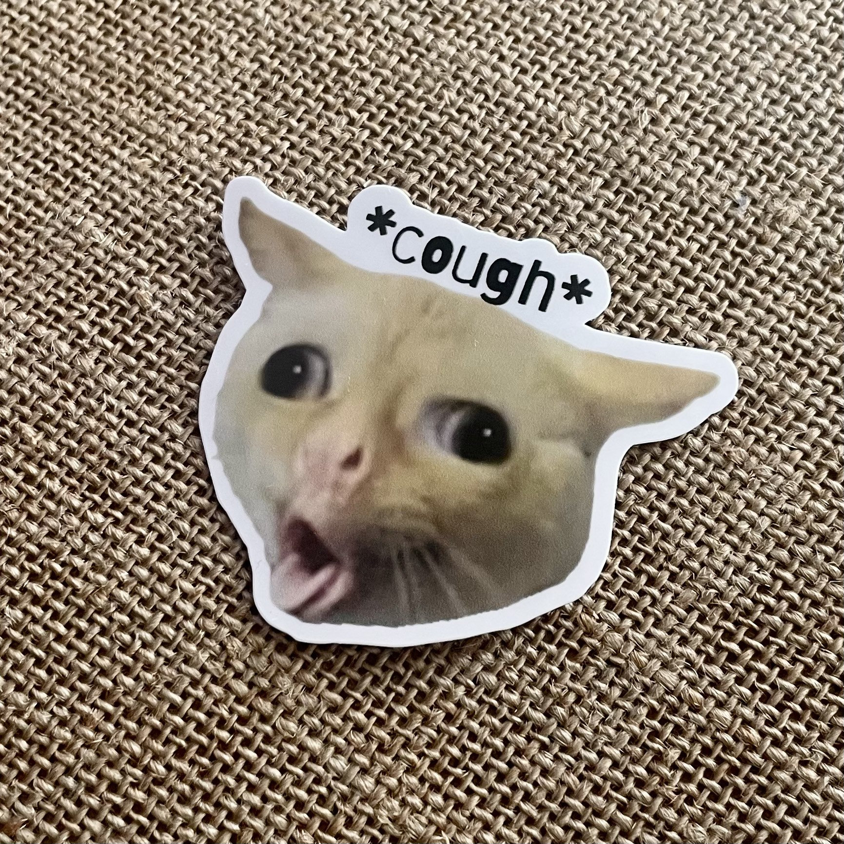 Why Do Little Kids Cough Like This Cat Meme Funny Cat - Etsy UK