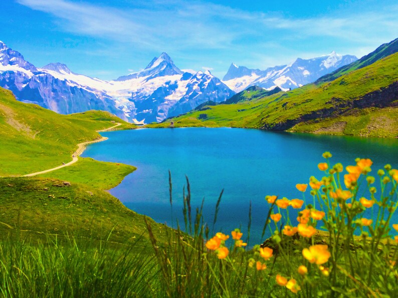 Path Less Travelled - Etsy