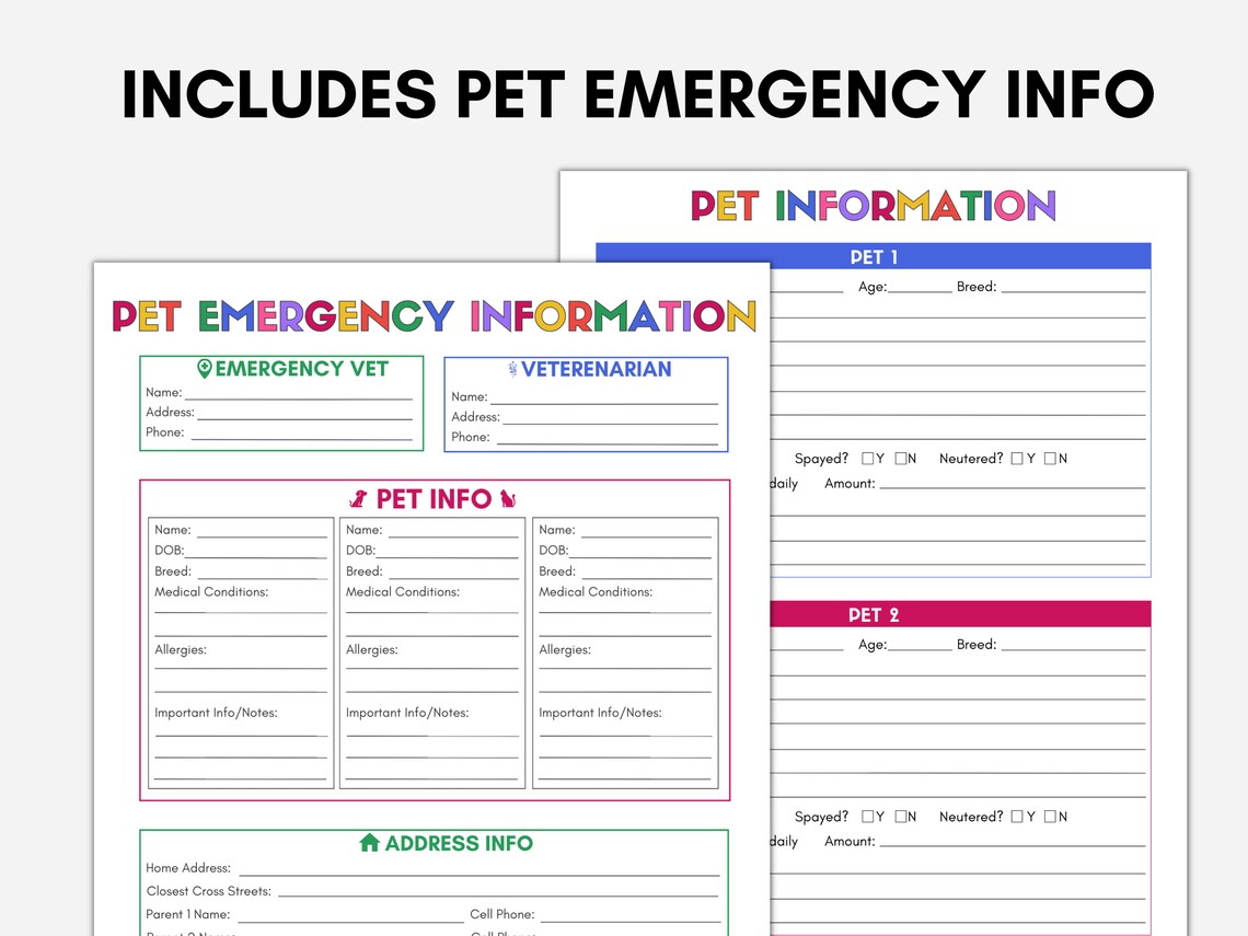 Emergency Information Sheet Babysitter Binder Childcare - Etsy