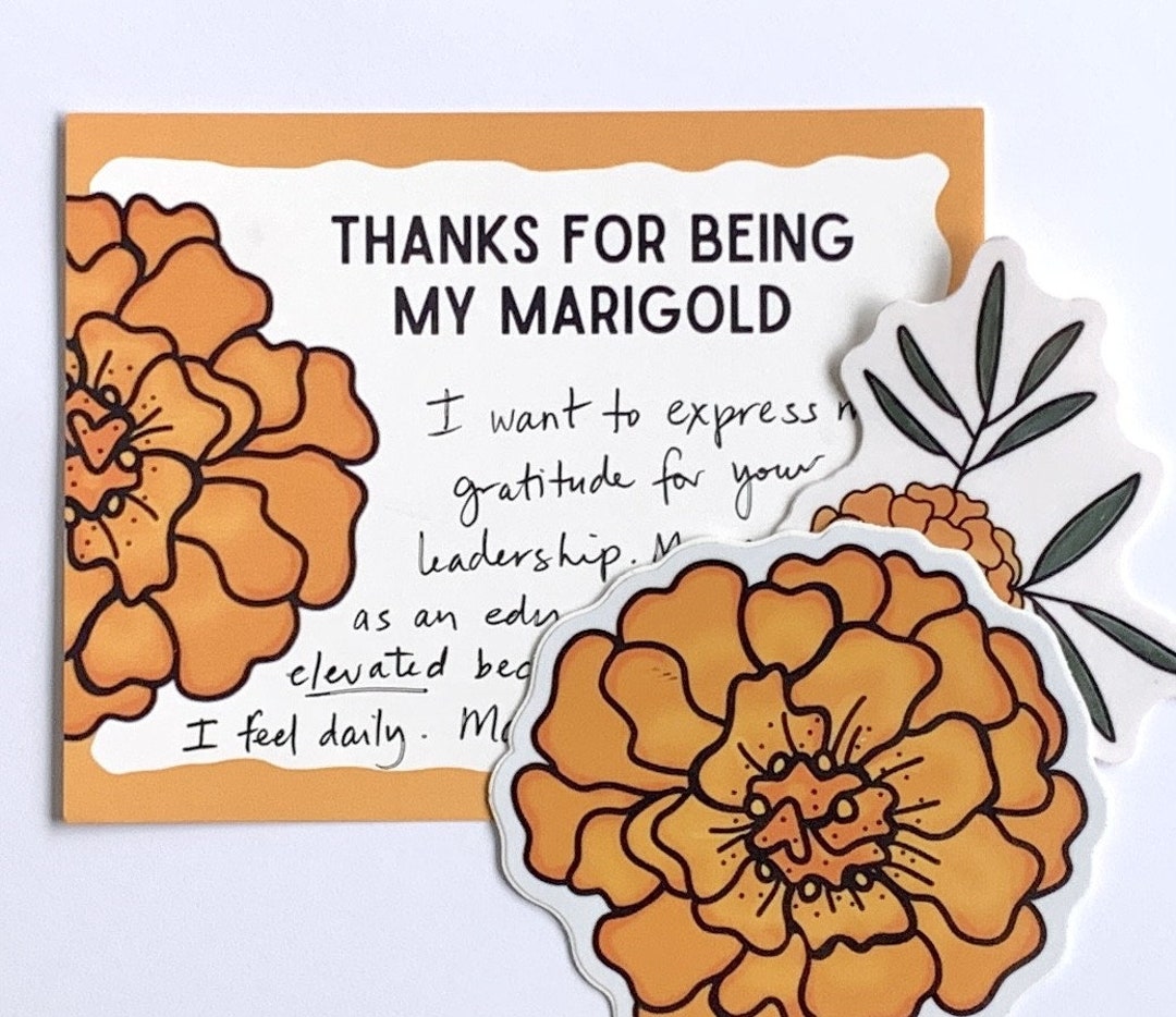 Marigold Thank You Postcard: Educators, Teacher Gift, Principal Gift - Etsy