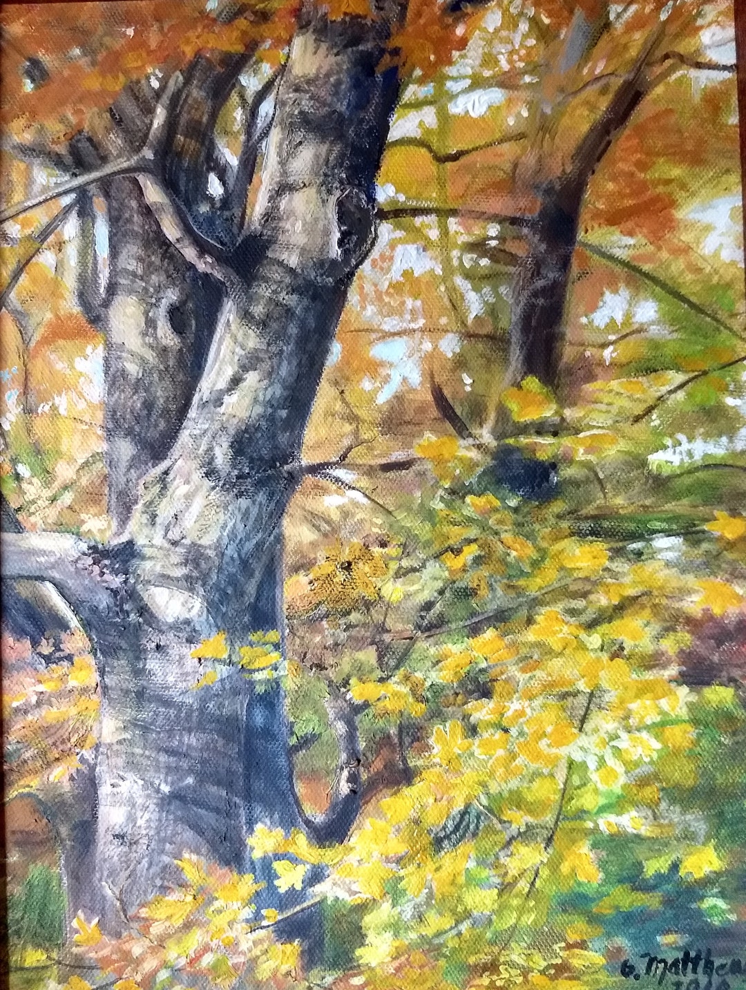 Maple Trees Outside My Bedroom Window - Etsy
