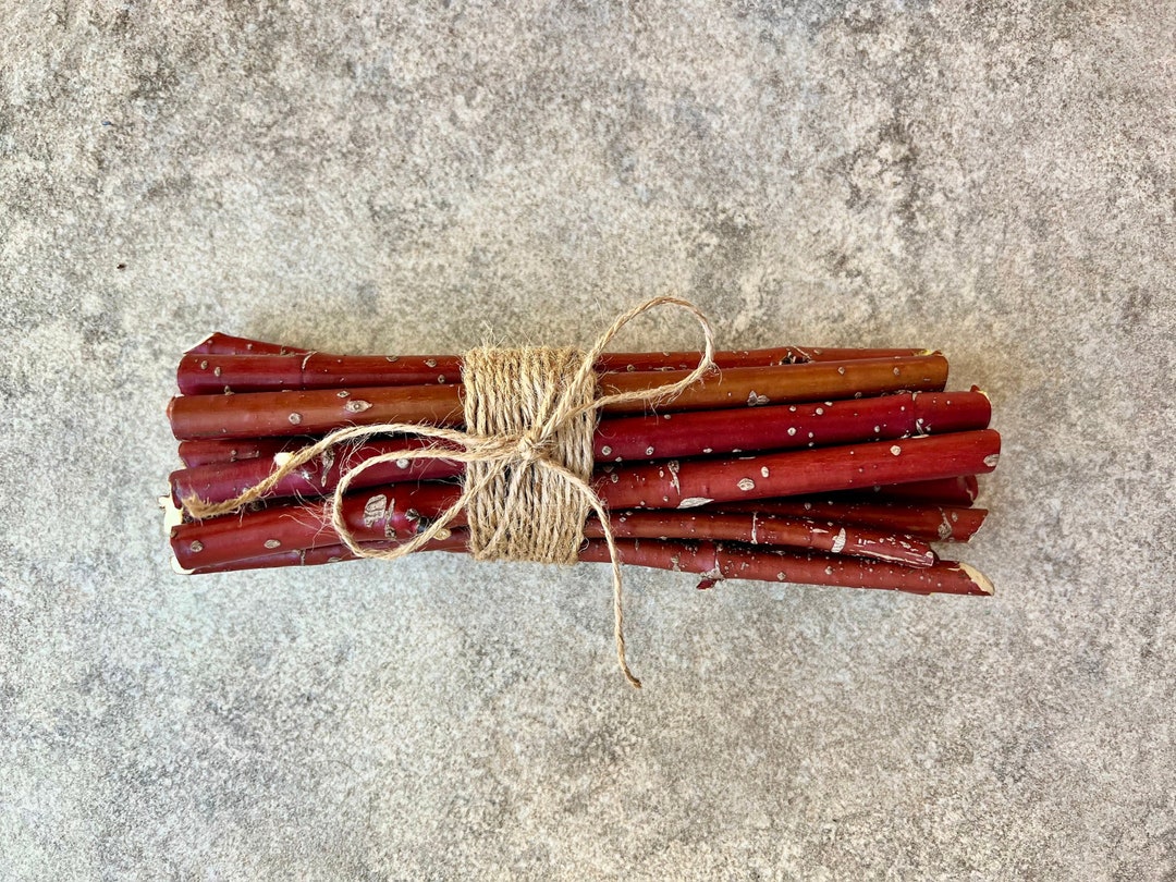 Red Dogwood Bundle (15pc) - Dogwood Sticks - Native Dogwood Bundle ...