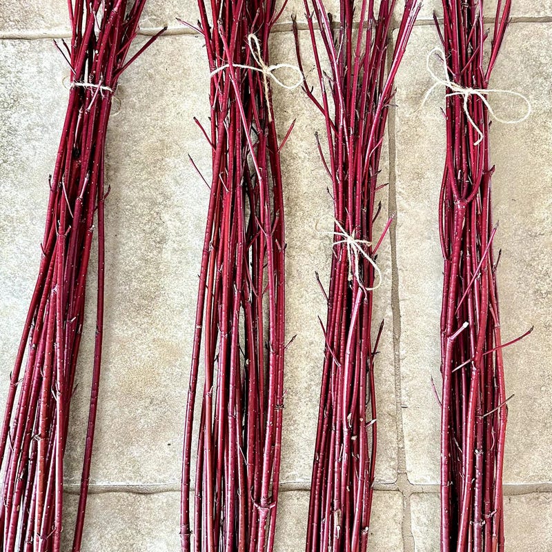 Dogwood Branch - Etsy
