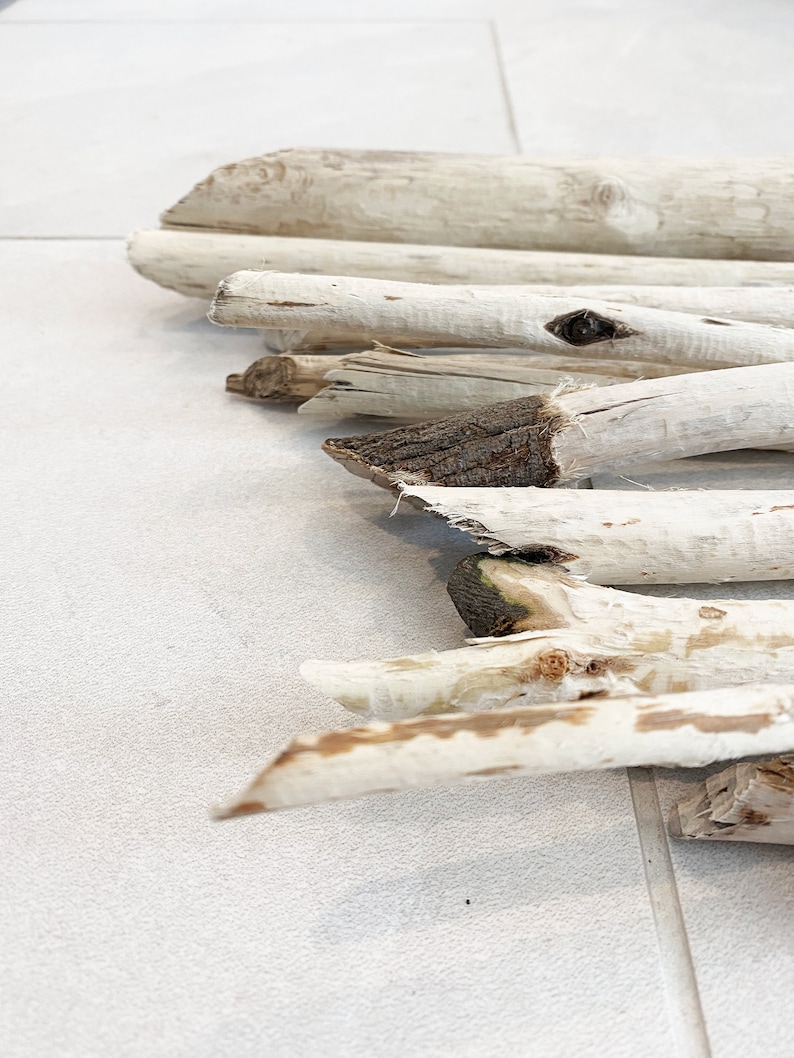Driftwood Beaver Sticks Bundle 15 Macrame Hanger - Etsy
