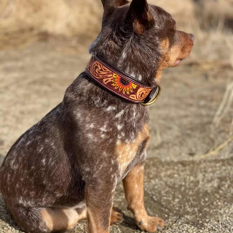 Rustic Dog Collar - Etsy