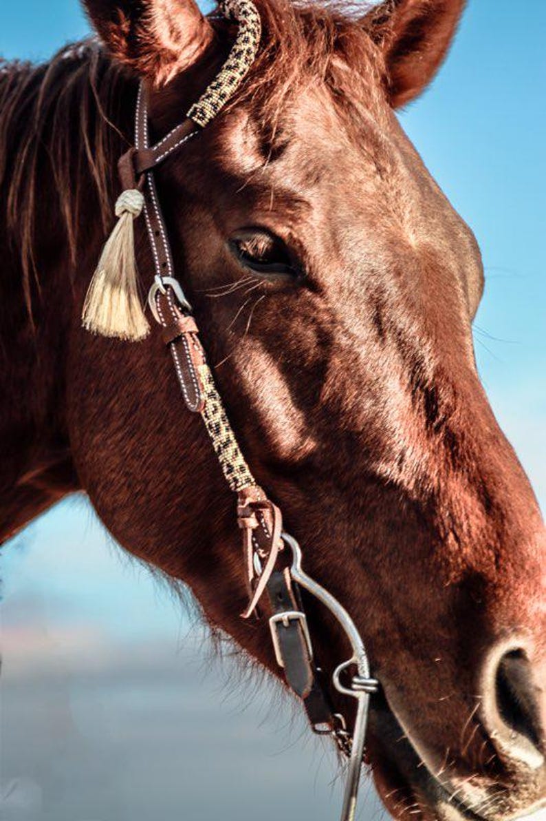 Cheetah Sliding One Ear Headstall- Cheetah Print Beaded Bridle - Etsy