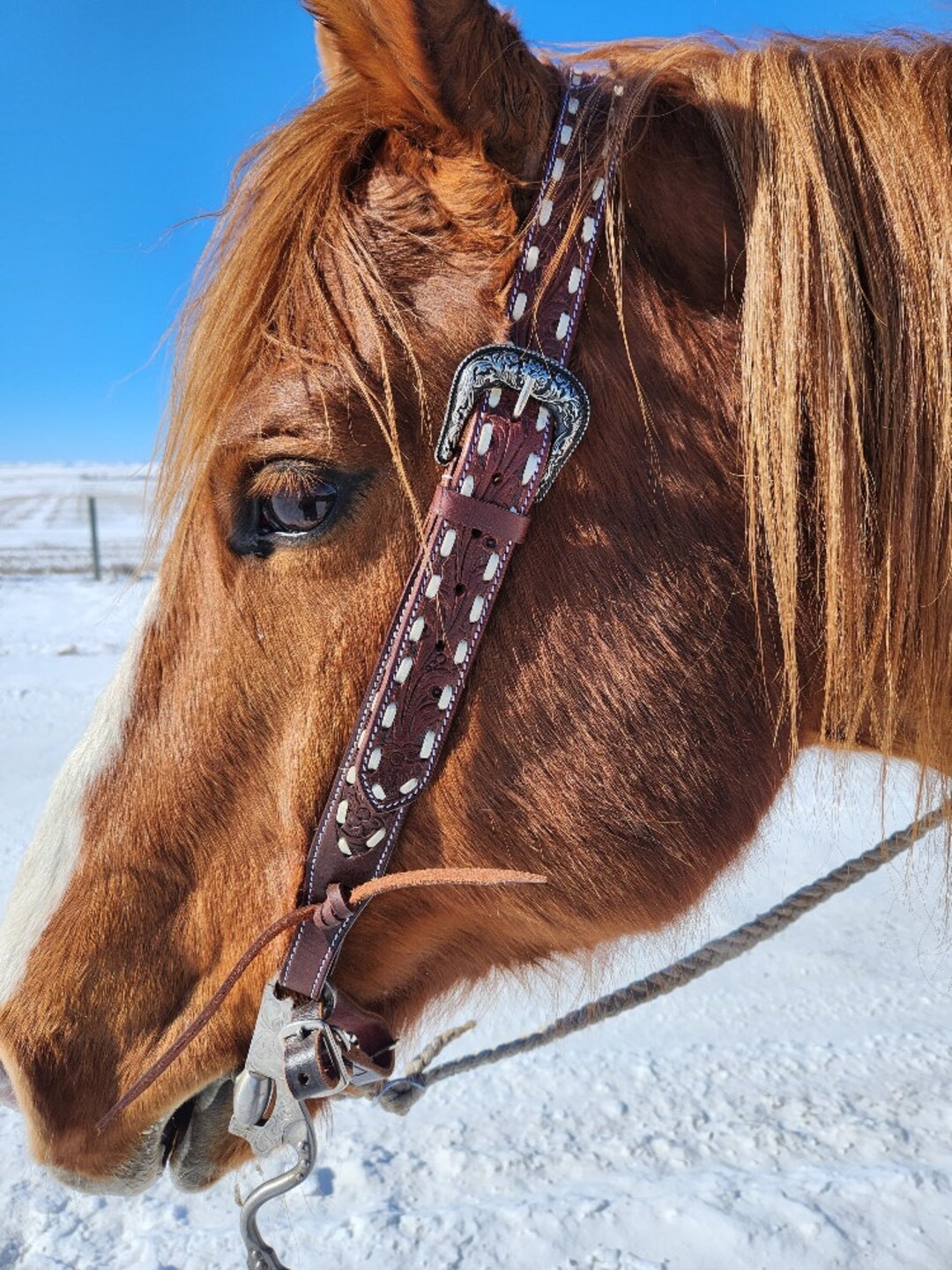 Belt Style White Buckstitch- Split Ear Headstall - Western Headstall ...