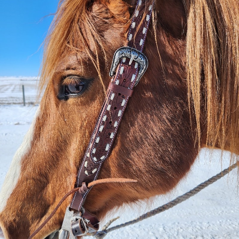 One Ear Bridle - Etsy