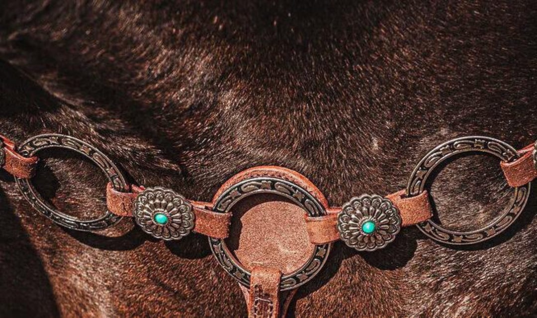 Twisted Iron- Silver Sage Metal Ring Breast Collar - Western Breast ...
