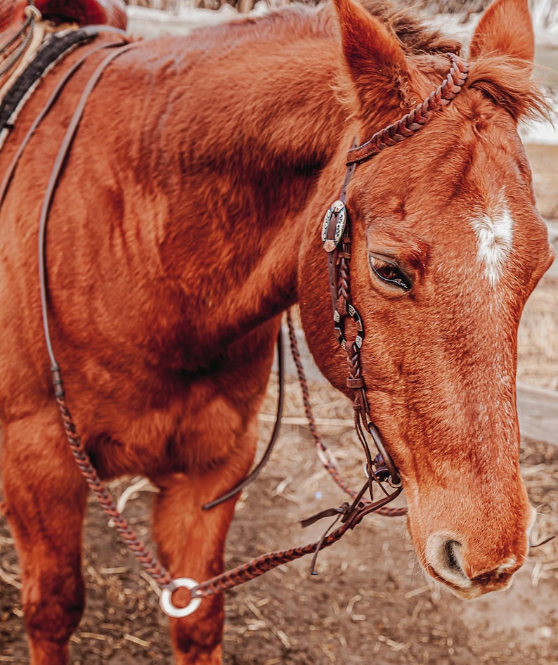 Twisted Iron- Rose Gold Metal Ring Reins - Western Headstall - Western ...