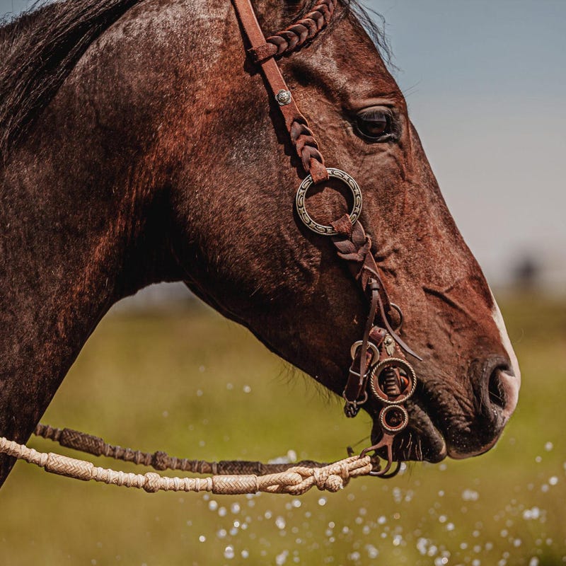 One Ear Headstall Ring - Etsy