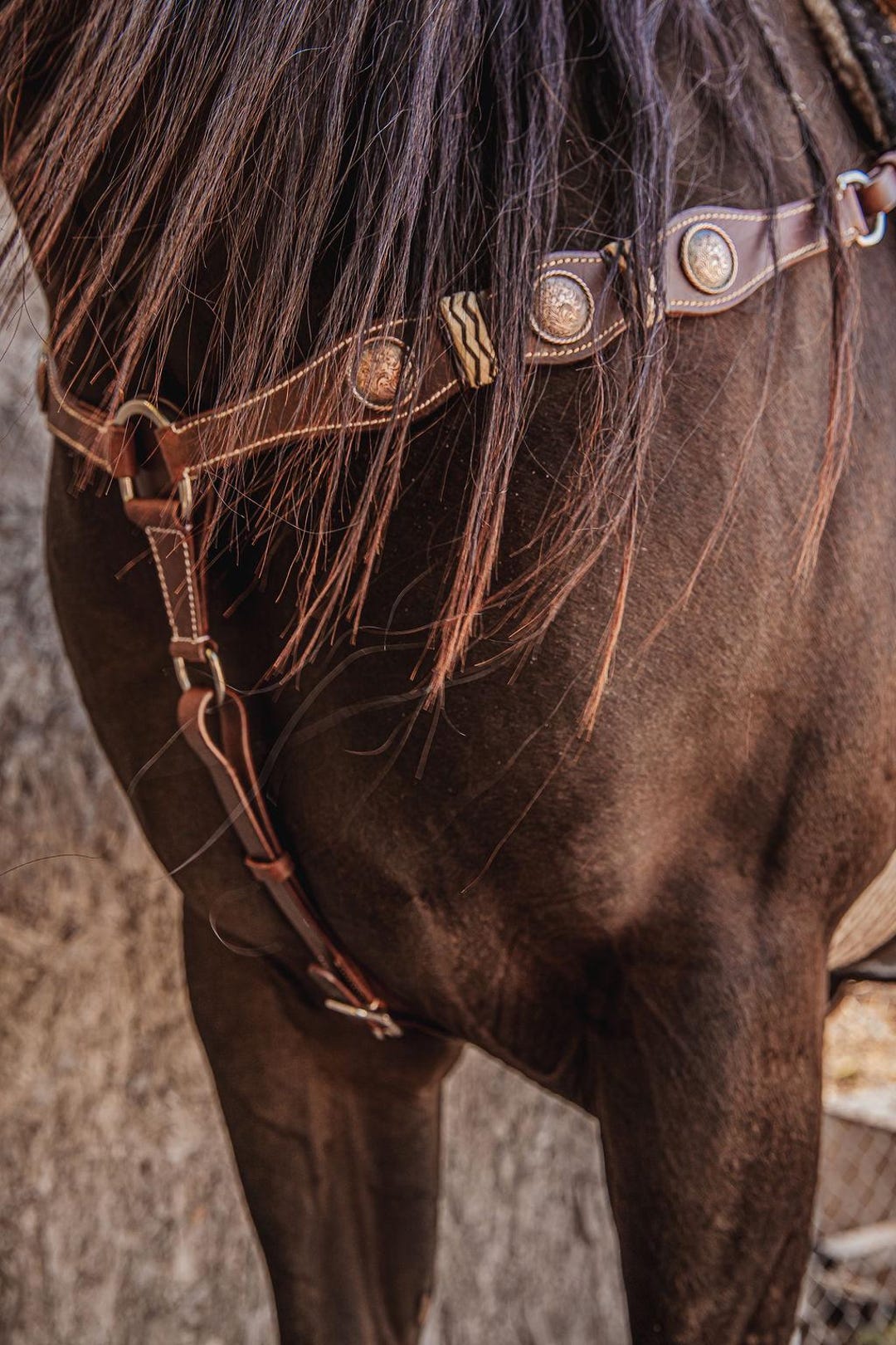 Rancher Rawhide- Leather Breast Collar - Western Breast Collar for ...
