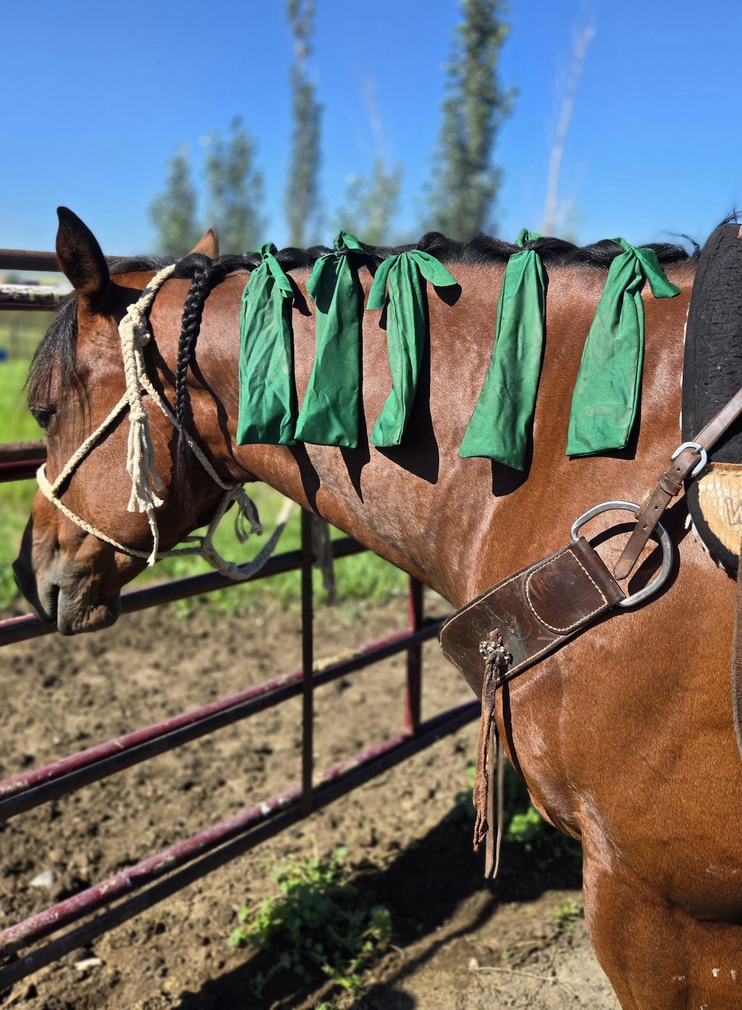 Horse Mane Bags- Lycra Mane Bags to Protect Your Horses Mane- Mane ...