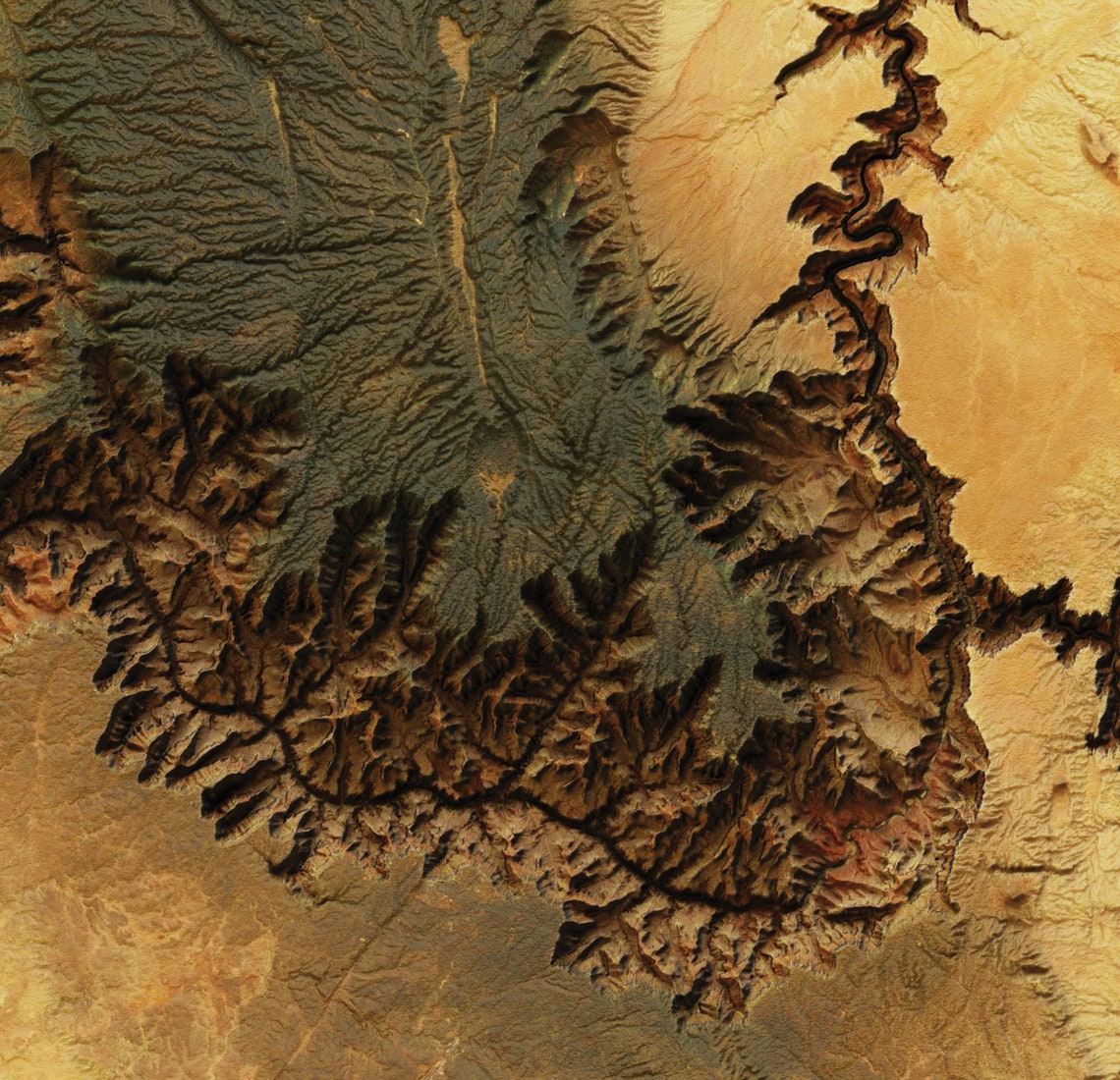 Grand Canyon Relief Map | Printable Decor - Etsy