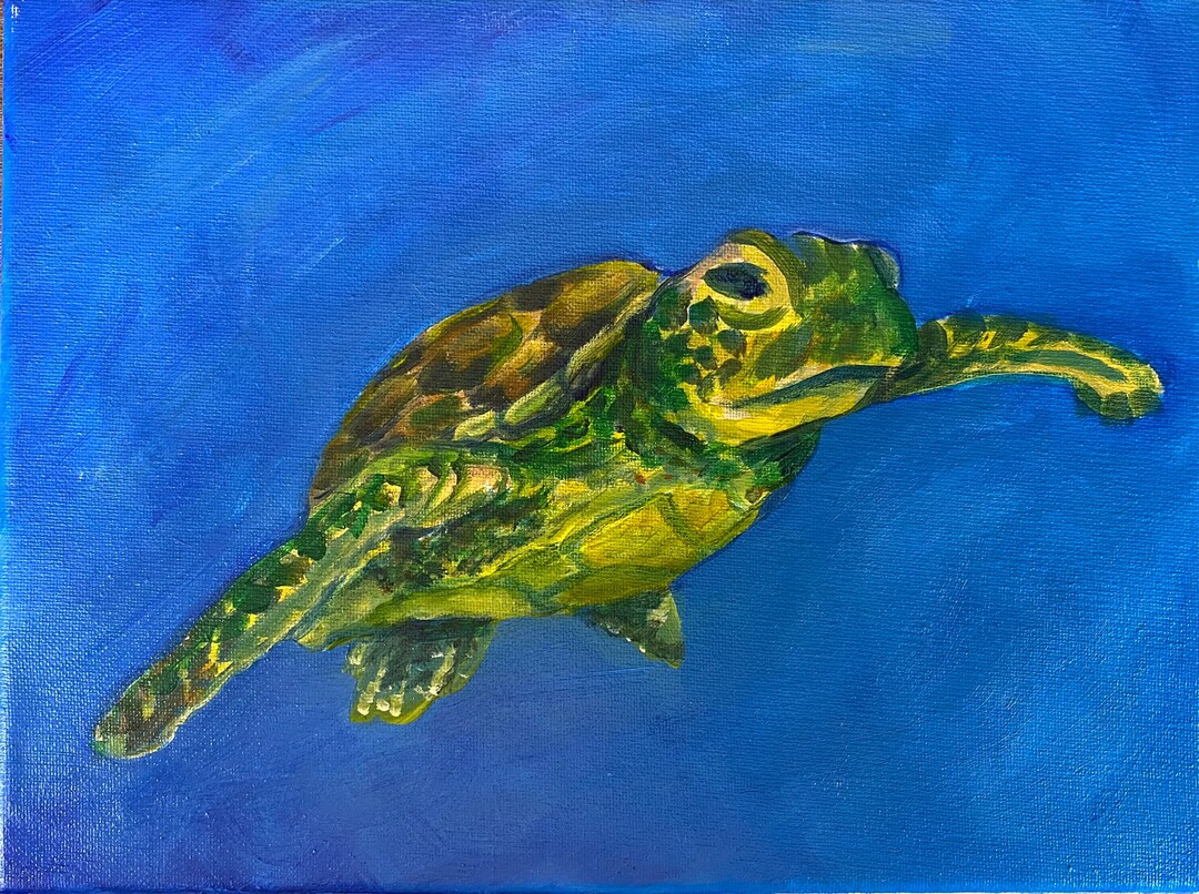 Sea Turtle Study - Etsy