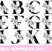 Rose Monogram SVG Alphabet, Floral Monogram Svg Font, Alphabet Svg ...