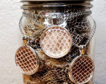 Real Snake Skin Necklace - Etsy
