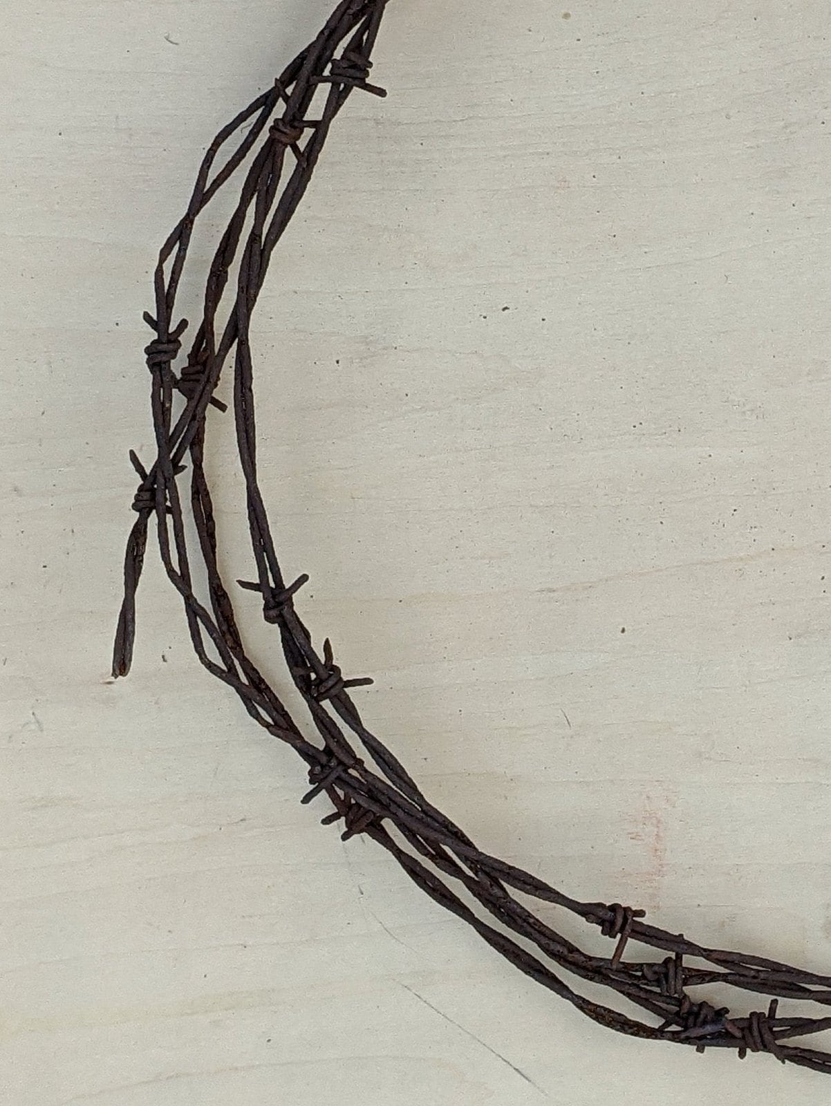 Rusty Barbed Wire Coil 14' - Etsy