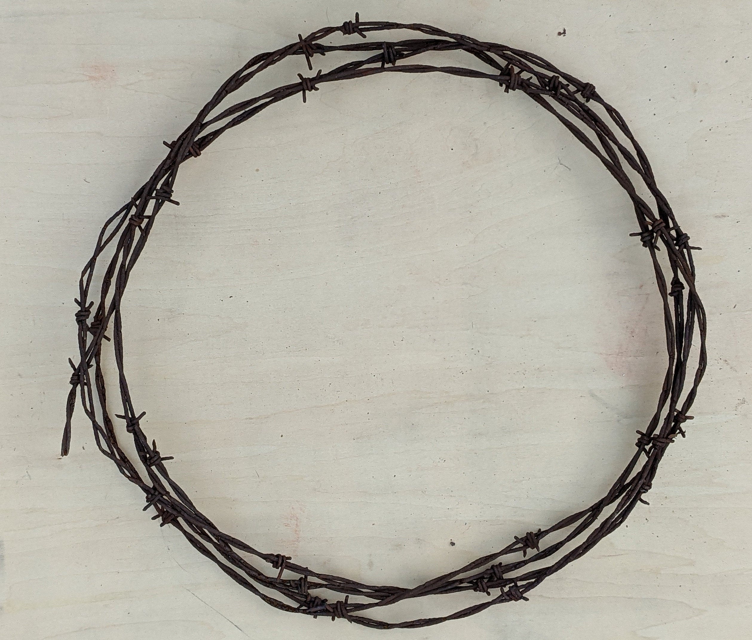 Rusty Barbed Wire Coil 14' - Etsy