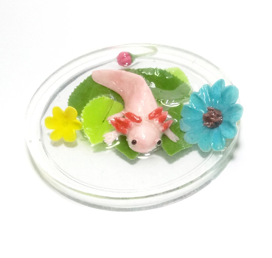 Axolotl Sculpture, Axolotl Resin, Axolotl in Pond Epoxy Resin Magnet ...