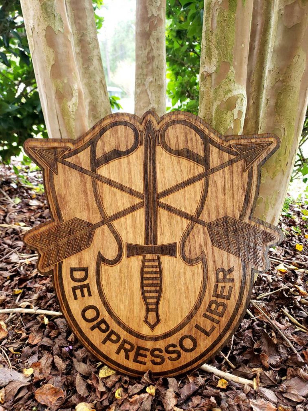 Special Forces Crest - Etsy