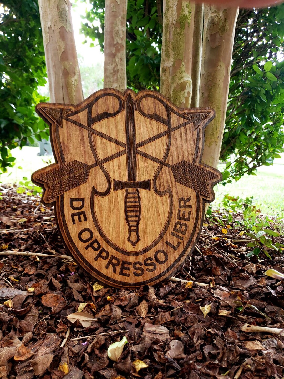 Wood Special Forces Crest Wall Display - Etsy