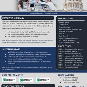 Probiz Capability Statement Template | Editable MS Word | Sam.gov ...