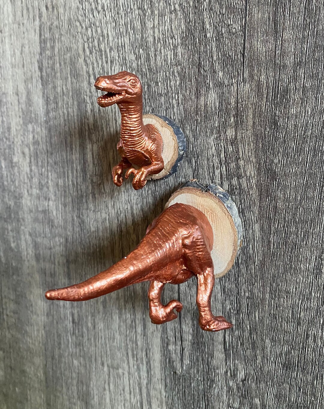 Pair of Metallic Dinosaur Raptor Magnet Head and Butt Set on - Etsy