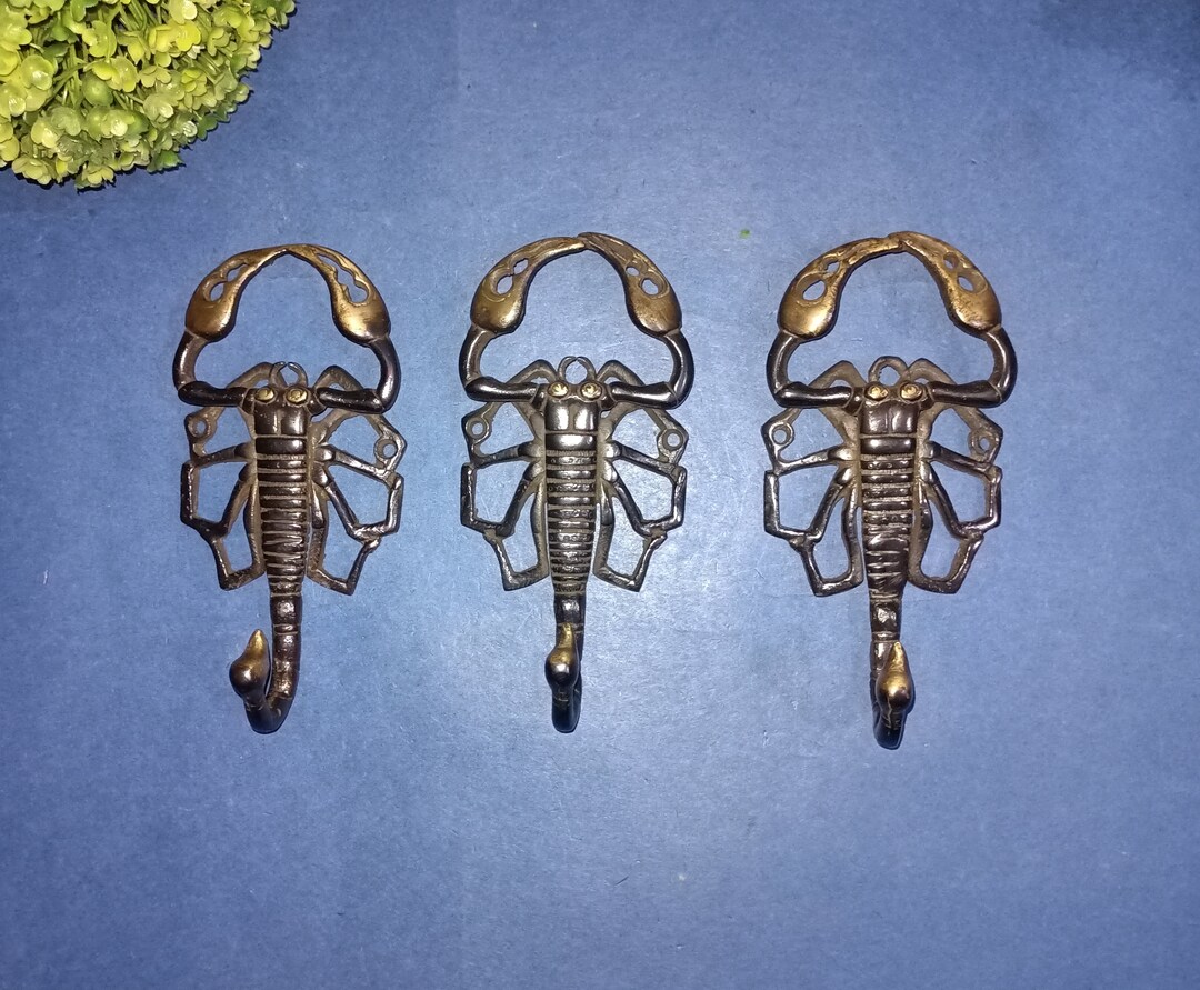 Arizona Bark Scorpion Hook Narrow Segmented Tail | Ferocious Wild ...