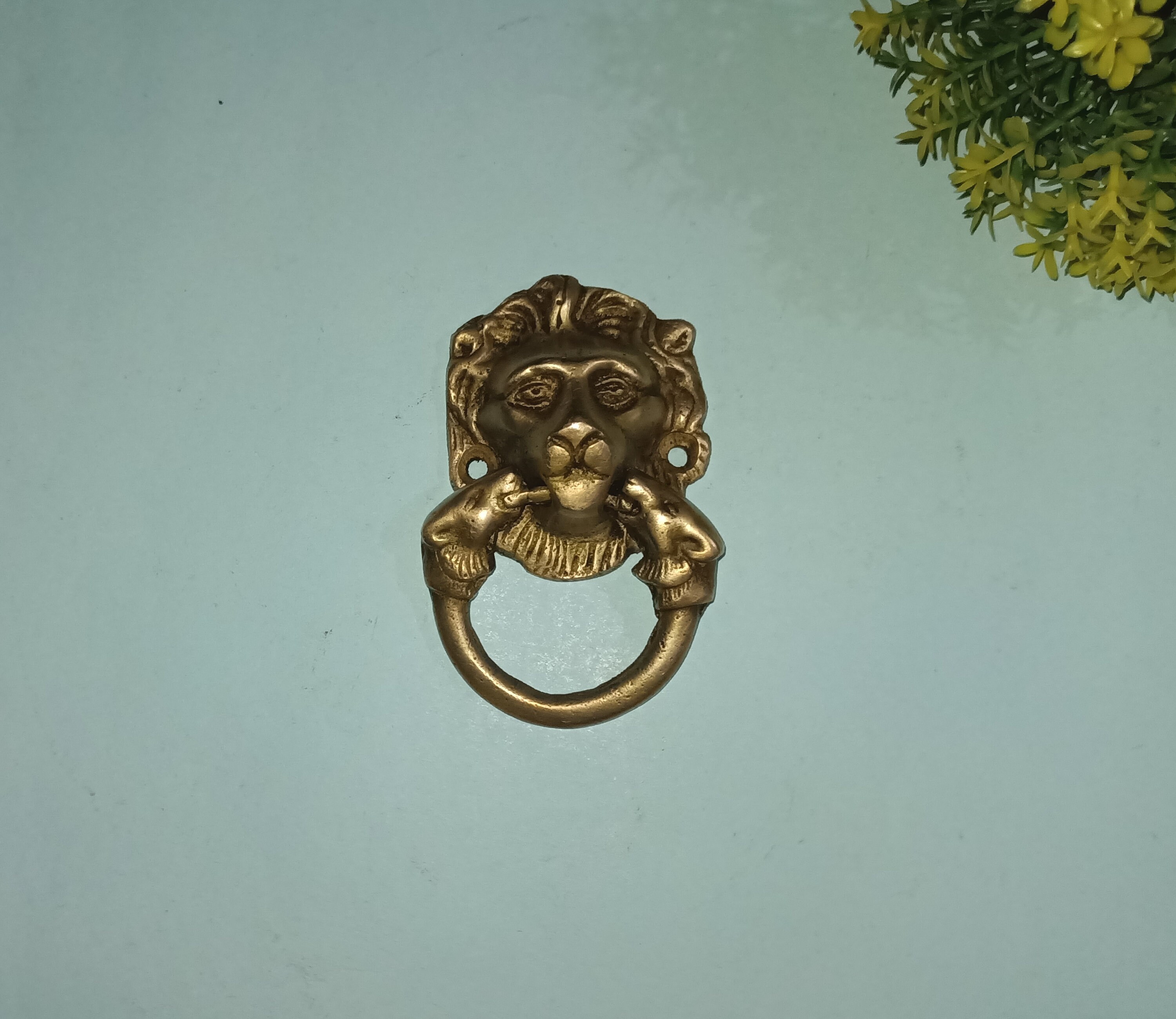 Jungle Beast Leo Face Kitchen Cabinet Drawer Knobs | Brass Wild Animal ...