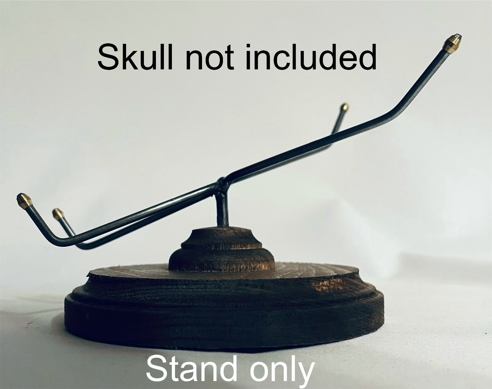 Human Skull Display Stand Low Profile - Etsy Finland