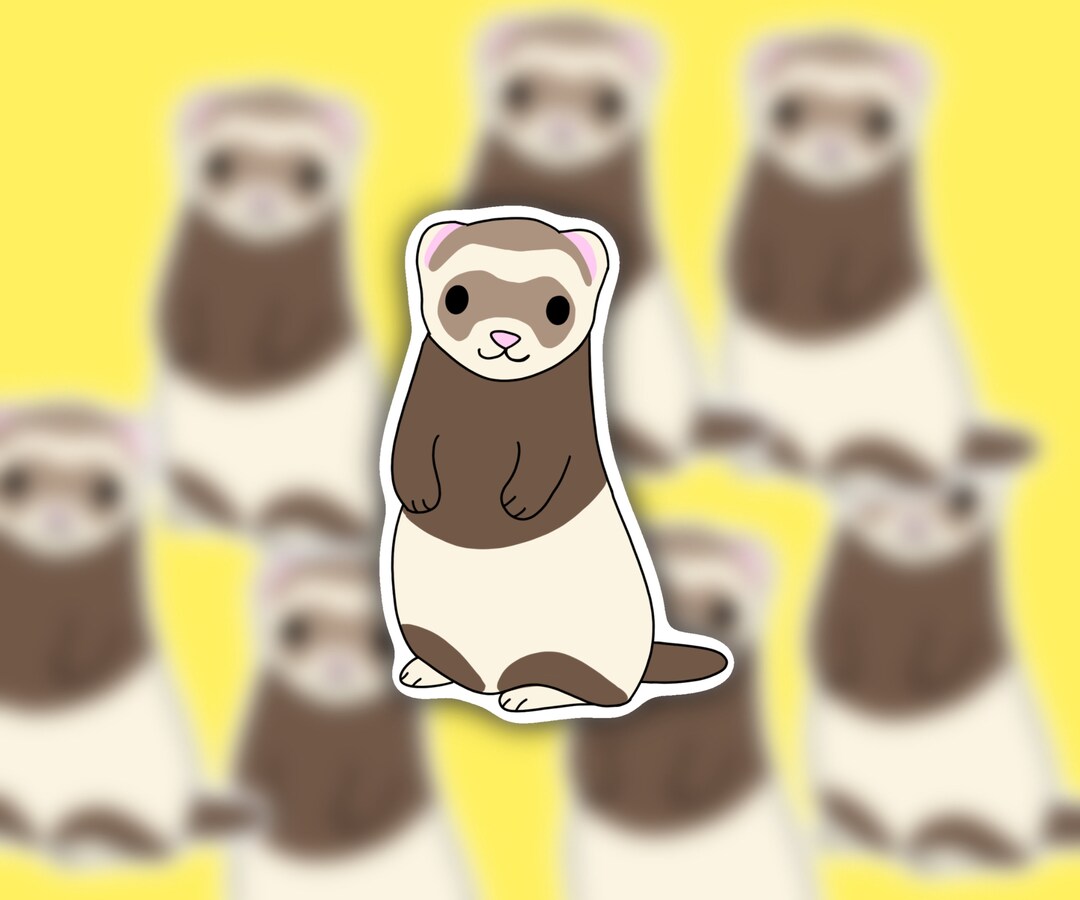 Ferret, Small Animals, Pets, Ferret Stickers, Animal Stickers, Pet ...