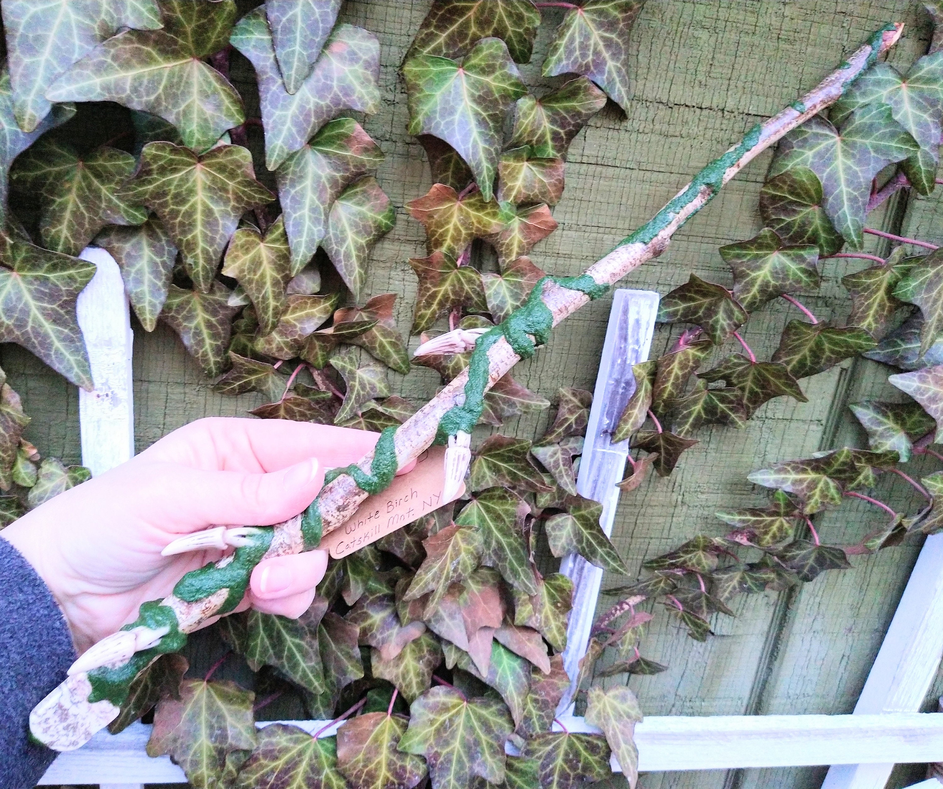 Vampire Fang Magic Wand - Etsy