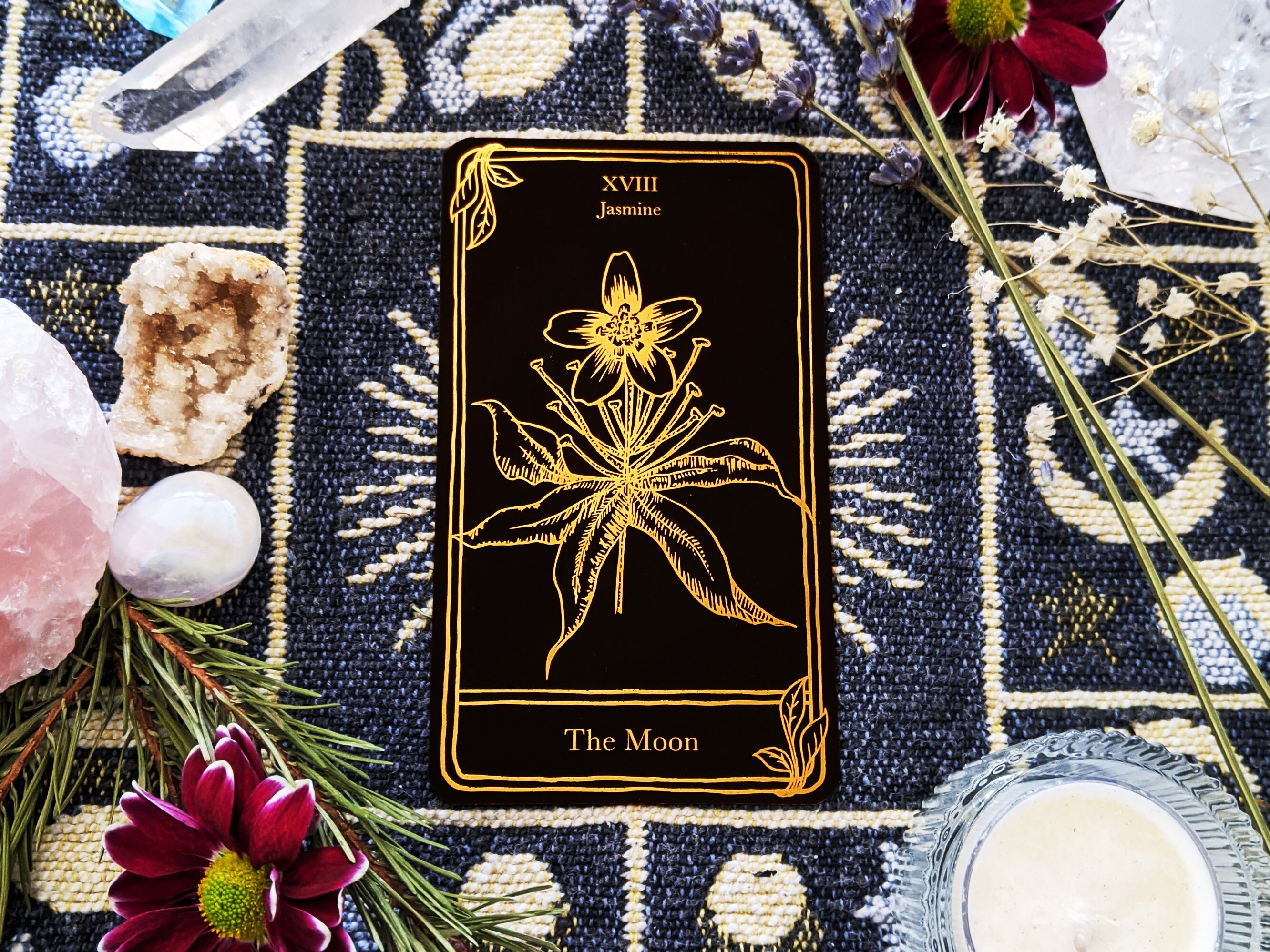 Seedling Tarot Botanical Tarot Cards LIMITED EDITION | Etsy