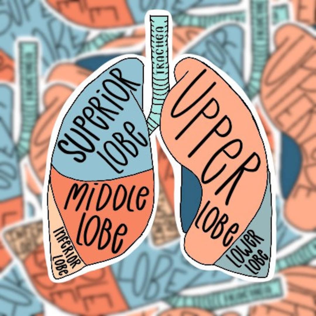 Lungs Sticker Pulmonary Sticker Pulmonologist Sticker - Etsy