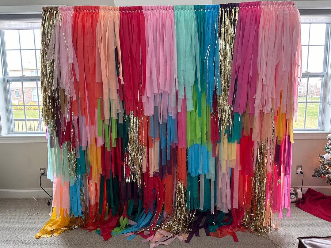 Colorful Fringe Backdrop/multicolor Backdrop/boho Party Backdrop ...