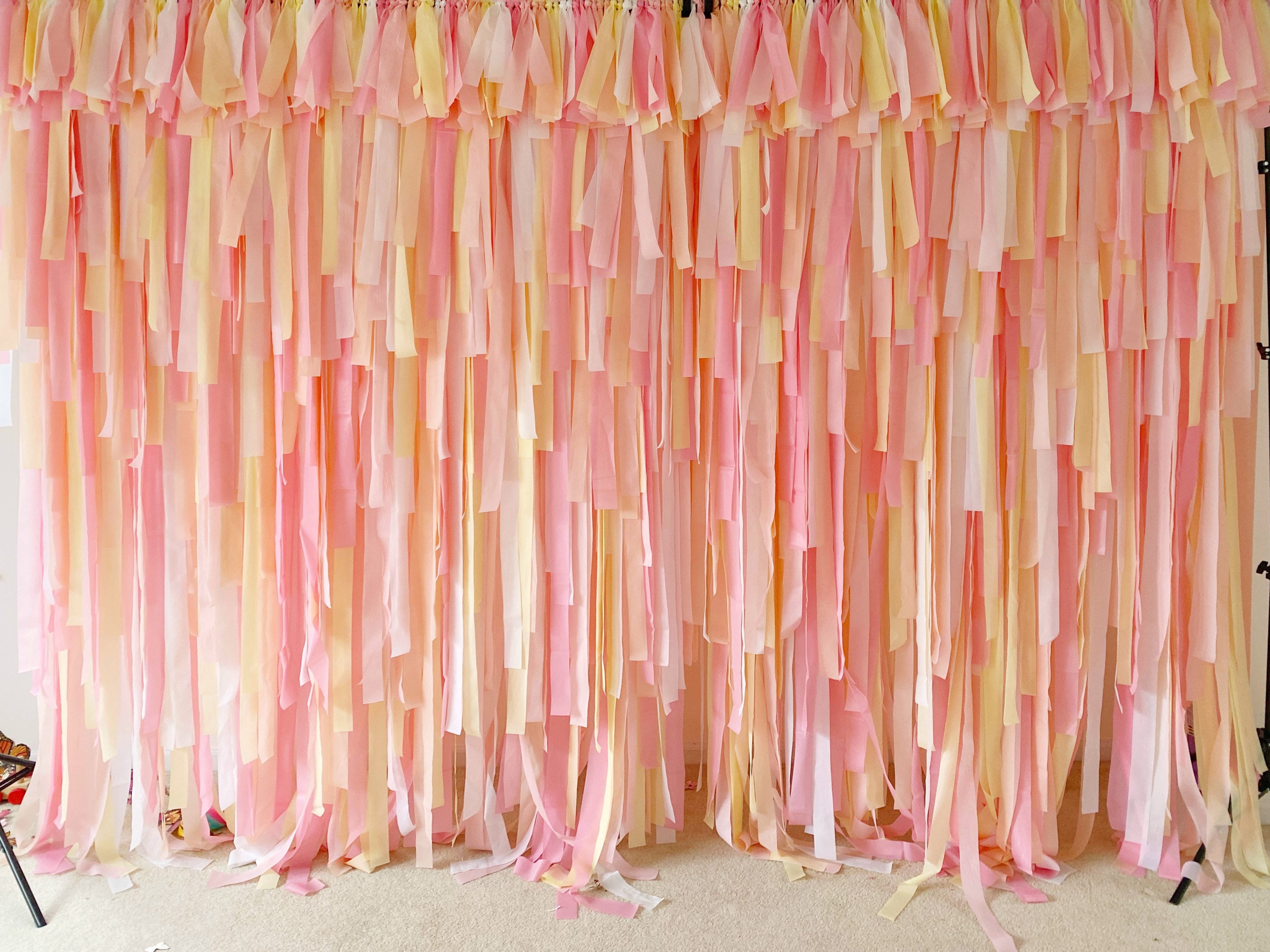 Boho Fringed Backdrop: Peach, Pink, Yellow Party Decoration - Etsy