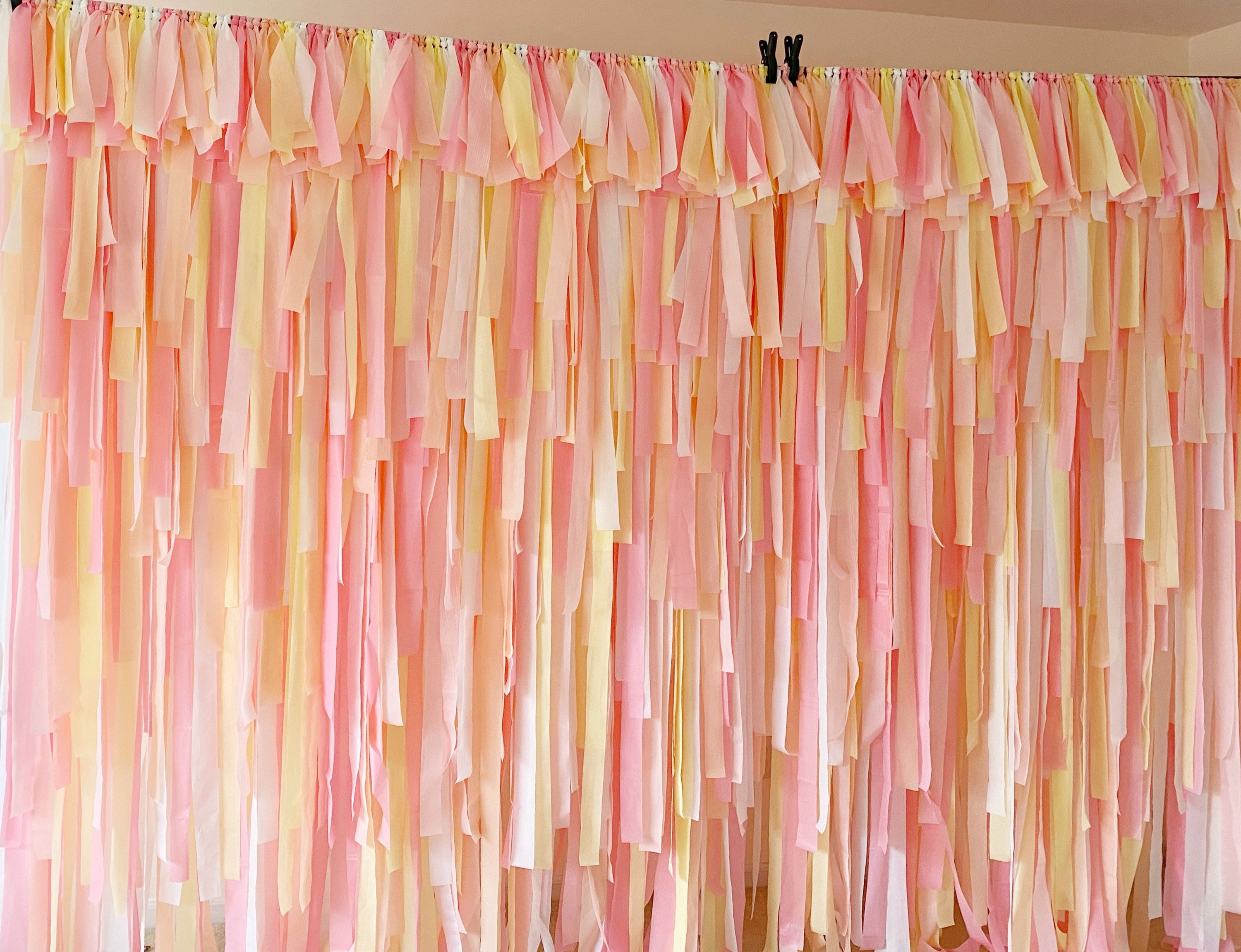 Daisy/groovy Party Backdrop Fringes/bohemian Backdrop/neutral - Etsy