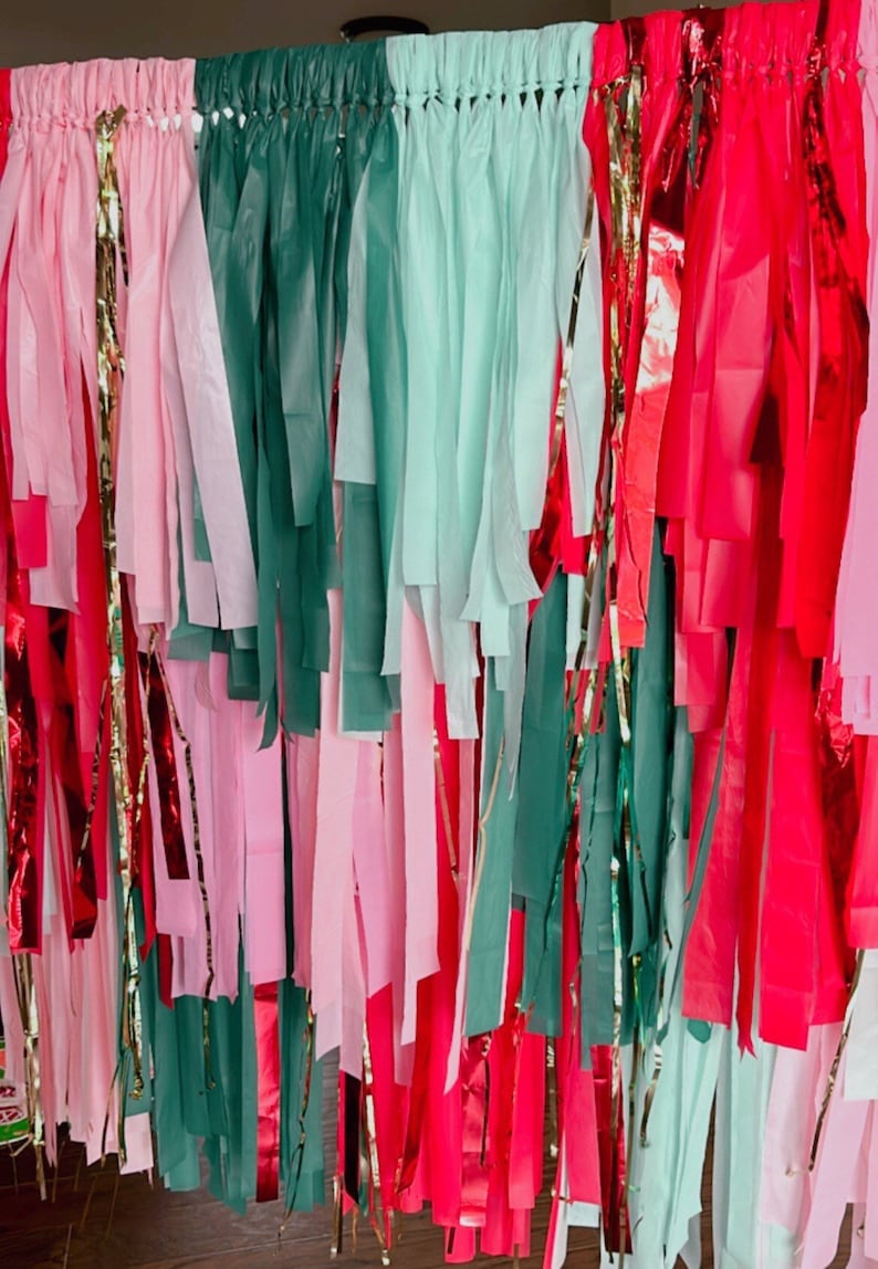 Christmas Party Backdrop: Red, Pink, Green Fringe Photo Booth ...
