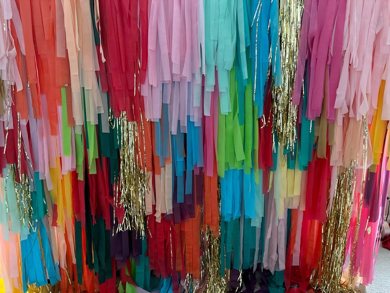 Colorful Fringe Backdrop/multicolor Backdrop/boho Party Backdrop ...