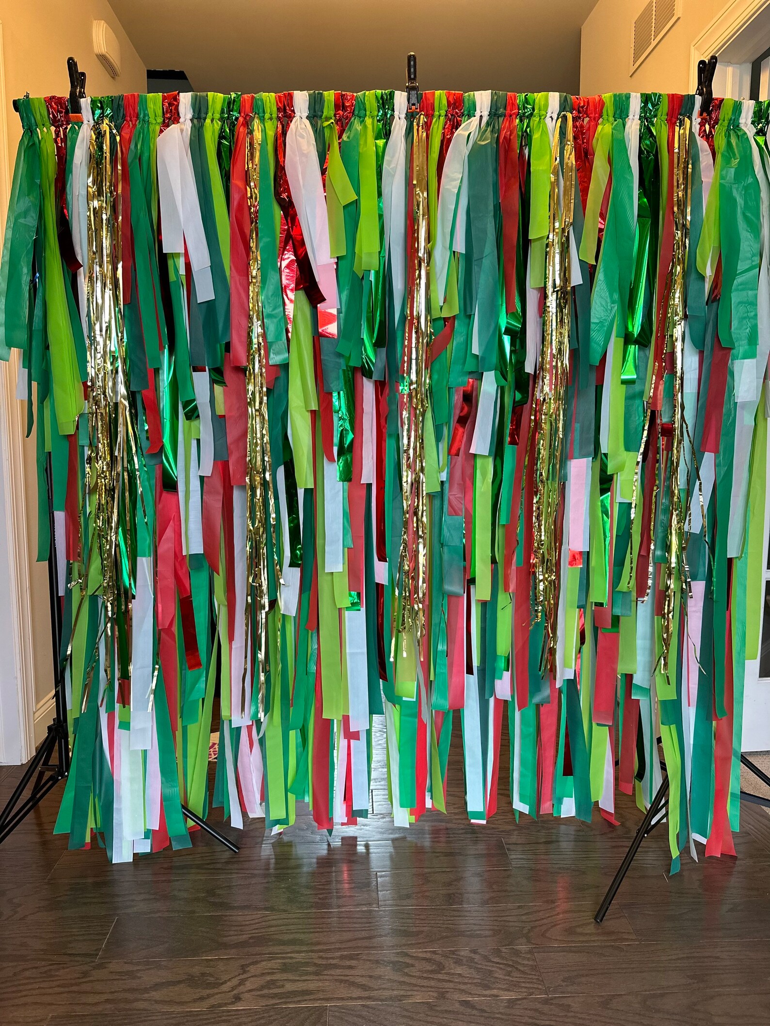 Grinch Christmas Fringe Backdrop, Holiday Party Photo Booth Decoration ...