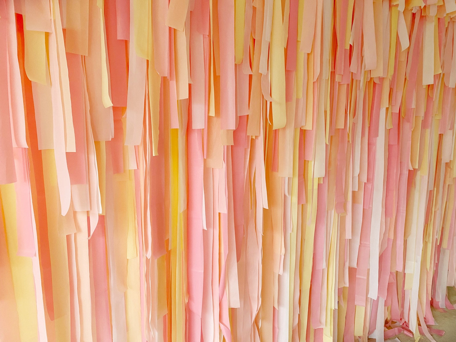 Daisy/groovy Party Backdrop Fringes/bohemian Backdrop/neutral - Etsy