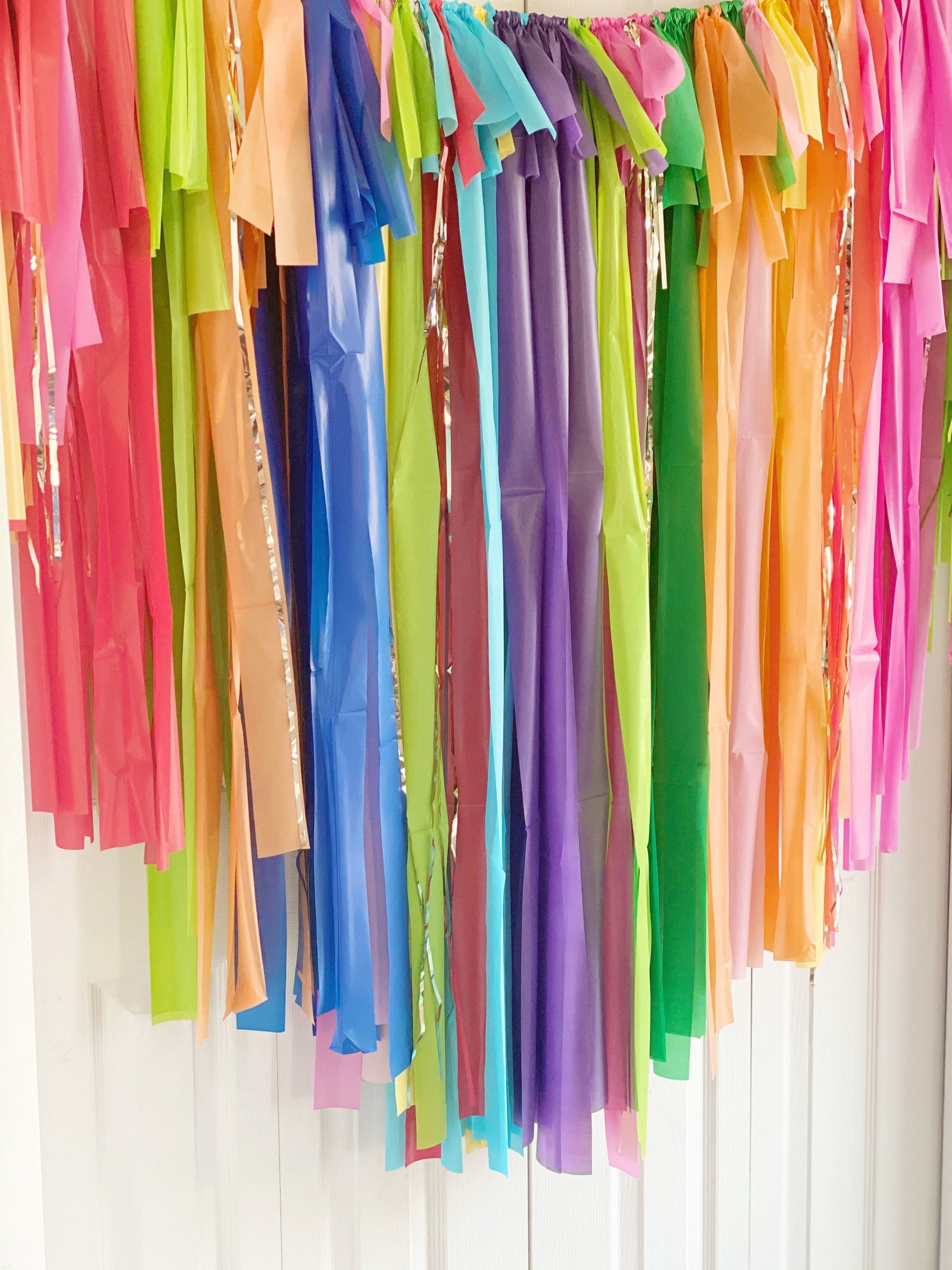 Colorful fringes backdrop/taco party/mexican theme | Etsy